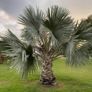 Encore Riverside RV Resort - Arcadia, Florida - RV LIFE Campground Reviews